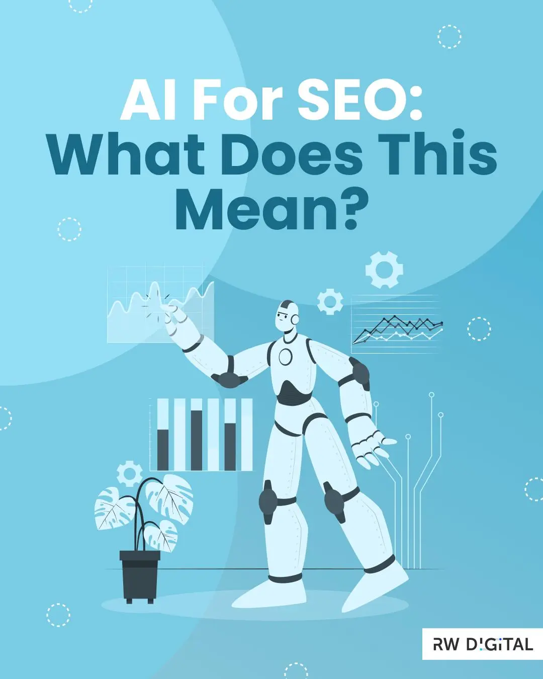 RW DIGITAL — Tany Dourev